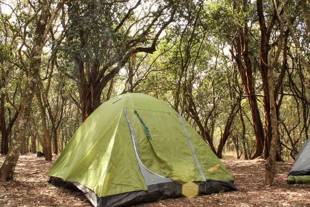 Oloolua Nature Trail: Top 5 Superb Things to Experience - Ziara Oloolua Nature Trail: Top 5 Superb Things to Experience - Ziara