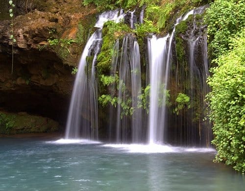 Oloolua Nature Trail: Top 5 Superb Things to Experience - Ziara Oloolua Nature Trail: Top 5 Superb Things to Experience - Ziara