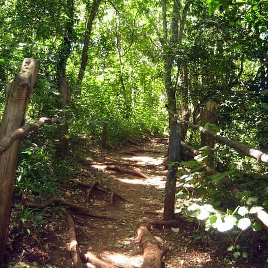 Oloolua Nature Trail: Top 5 Superb Things to Experience - Ziara Oloolua Nature Trail: Top 5 Superb Things to Experience - Ziara