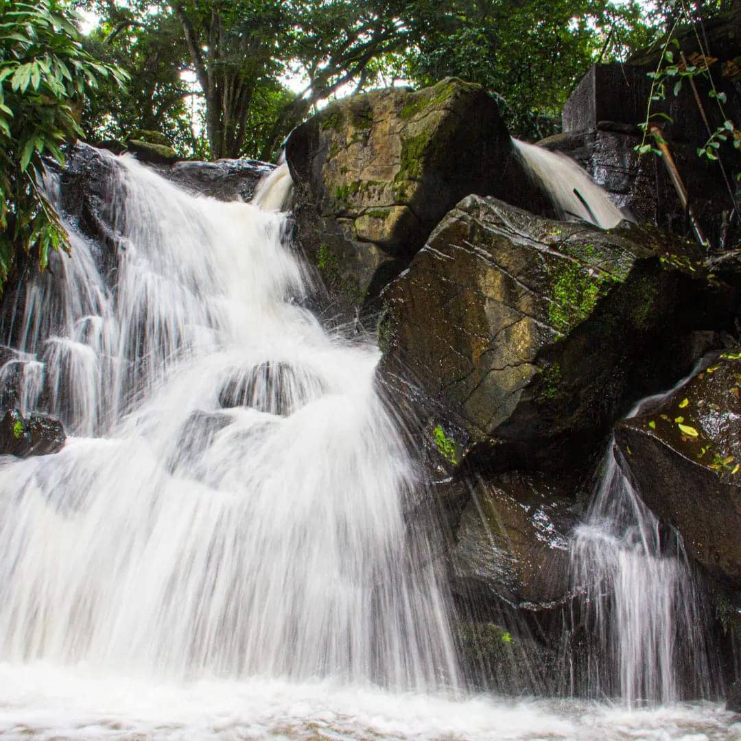 Oloolua Nature Trail: Top 5 Superb Things to Experience - Ziara Oloolua Nature Trail: Top 5 Superb Things to Experience - Ziara